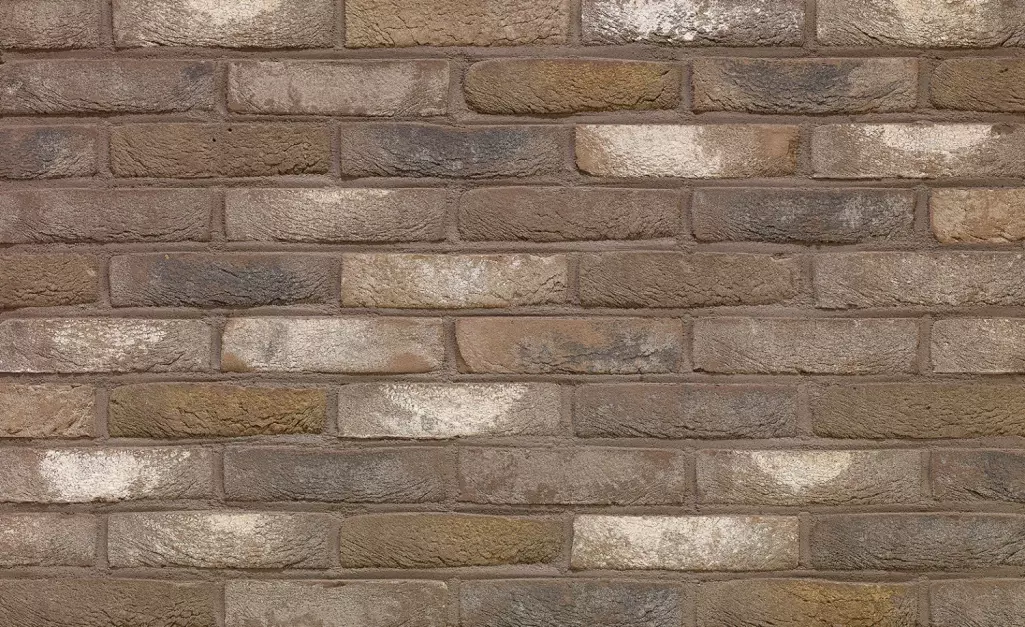 WIENERBERGER ARCES MOON GRIJS 210X100X50MM