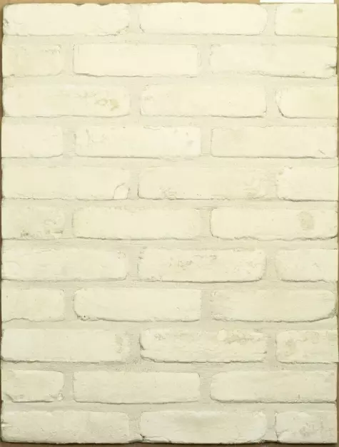 Wienerberger gevelsteen Domus duifwit M50 188x88x48mm