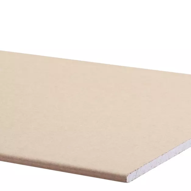 GYPROC GYPLAT PLAAT RBR 9,5MM 2000X600MM