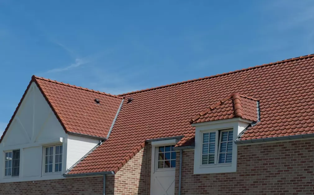 MONIER POSTEL 20 DAKPAN RUSTIEK